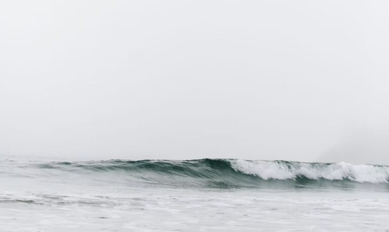 A Sage Sea